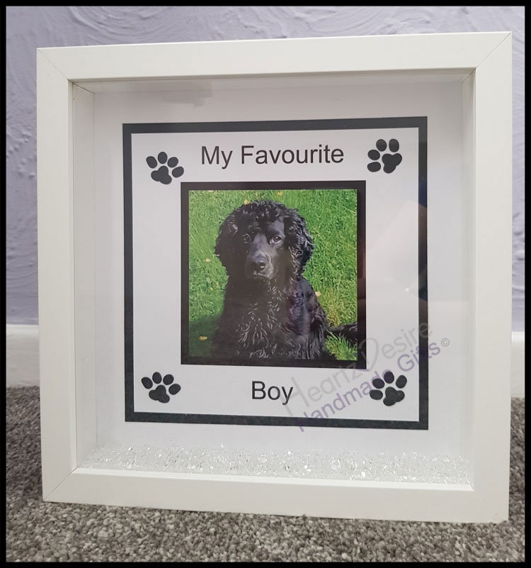 Personalised Box Frame Pets Box Frame Family Box Frame Dogs - Etsy