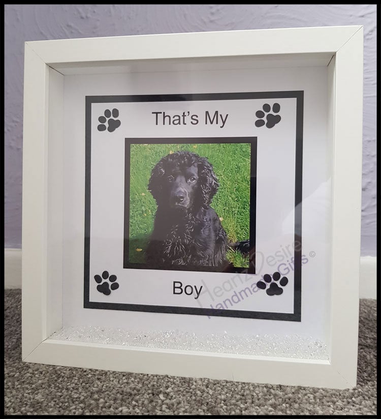 Personalised Box Frame Pets Box Frame Family Box Frame Dogs - Etsy