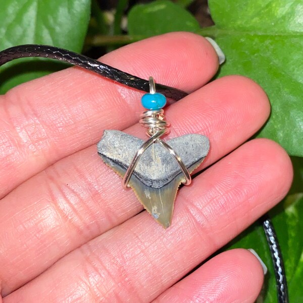 Shark Tooth Choker - Etsy