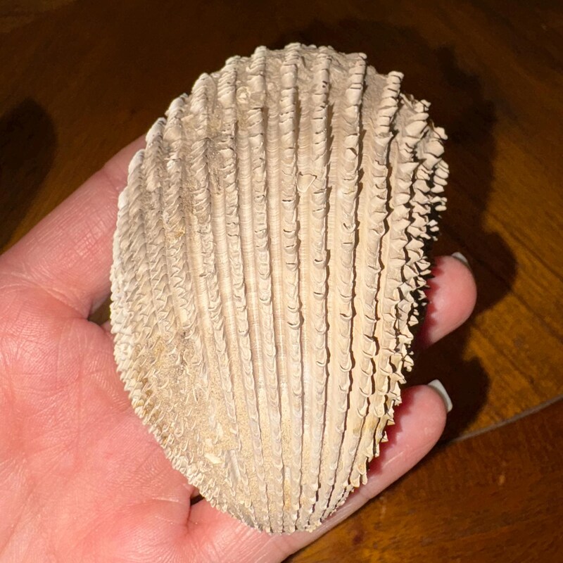 ManicBotanicArt - Etsy