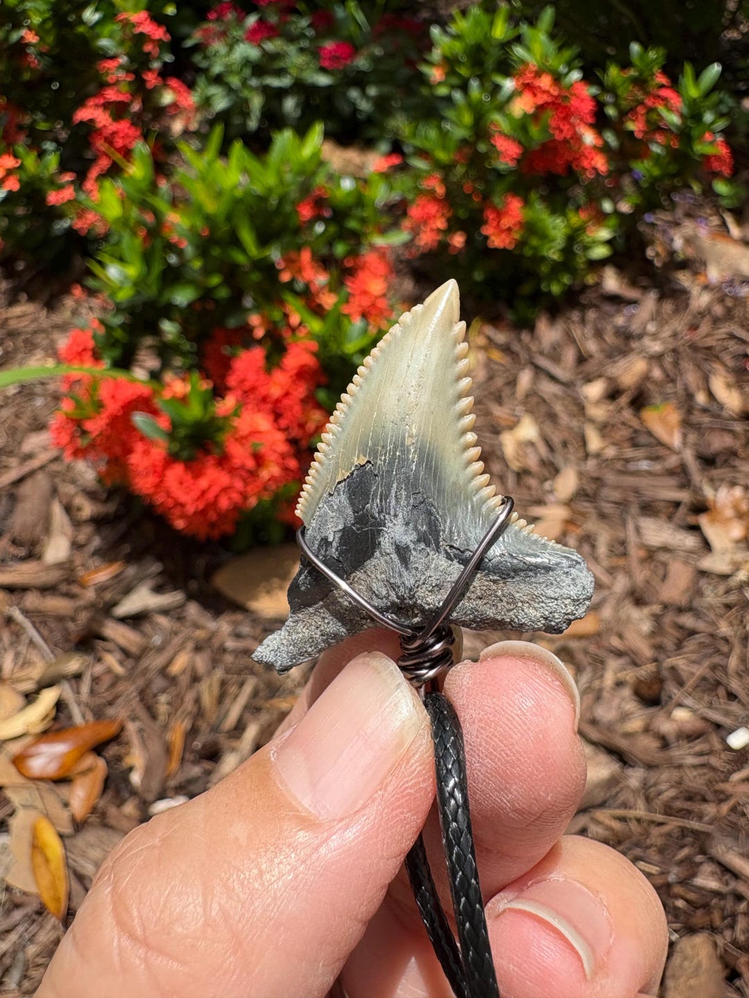 Snaggletooth Shark Tooth Pendant - Etsy