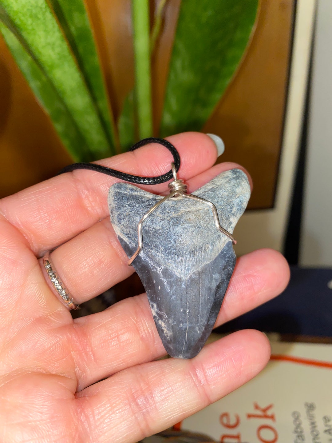 Megalodon Tooth Pendant - Etsy