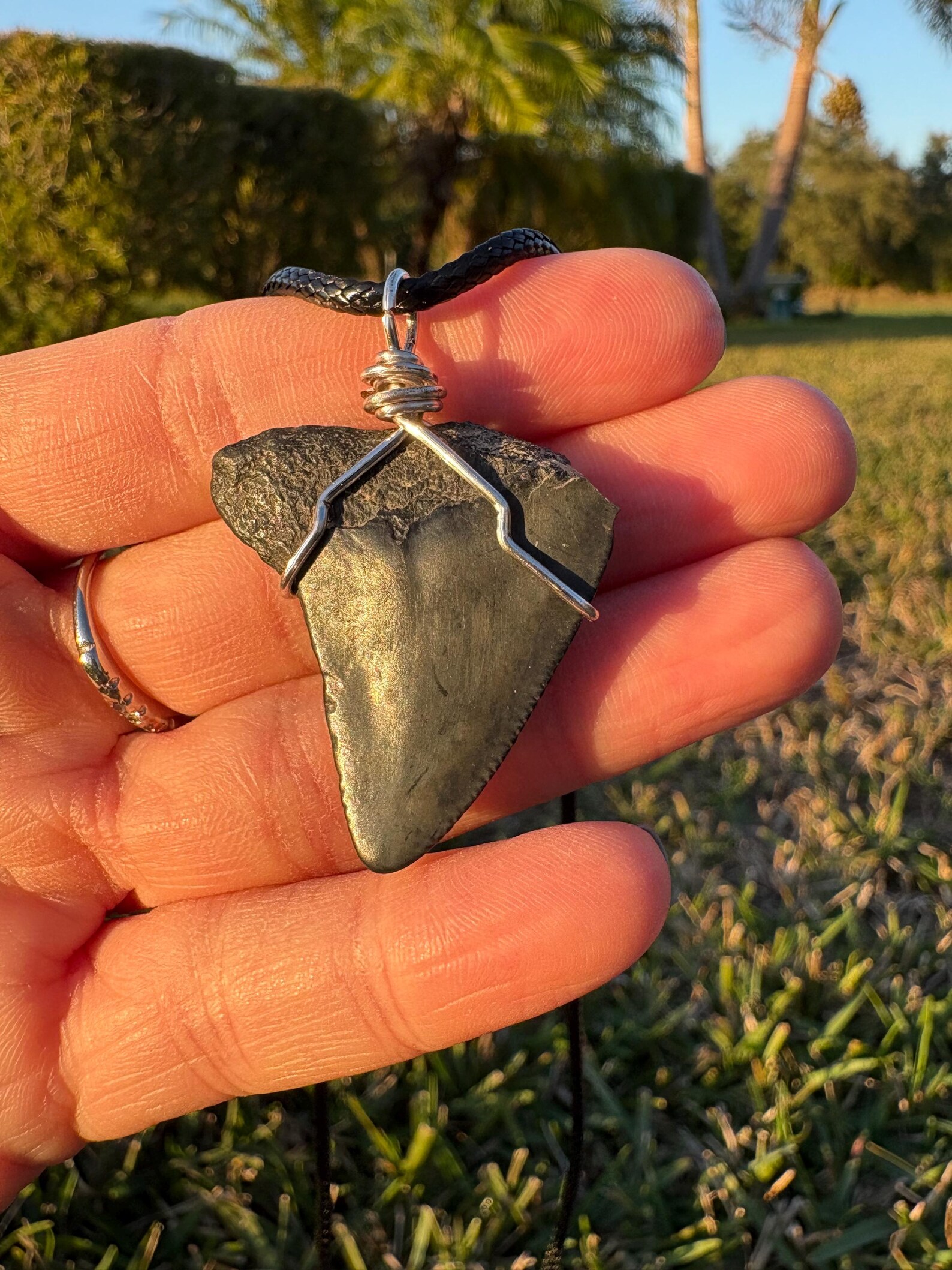 Megalodon Tooth Necklace - Florida - Etsy