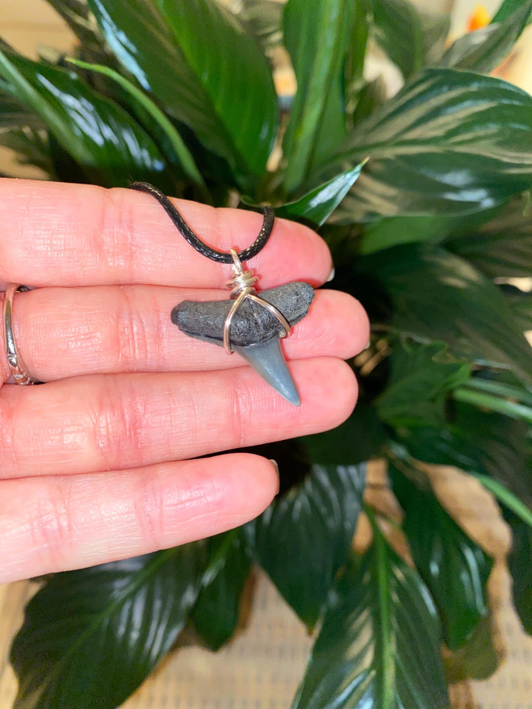 Lemon Shark Tooth Necklace - Etsy