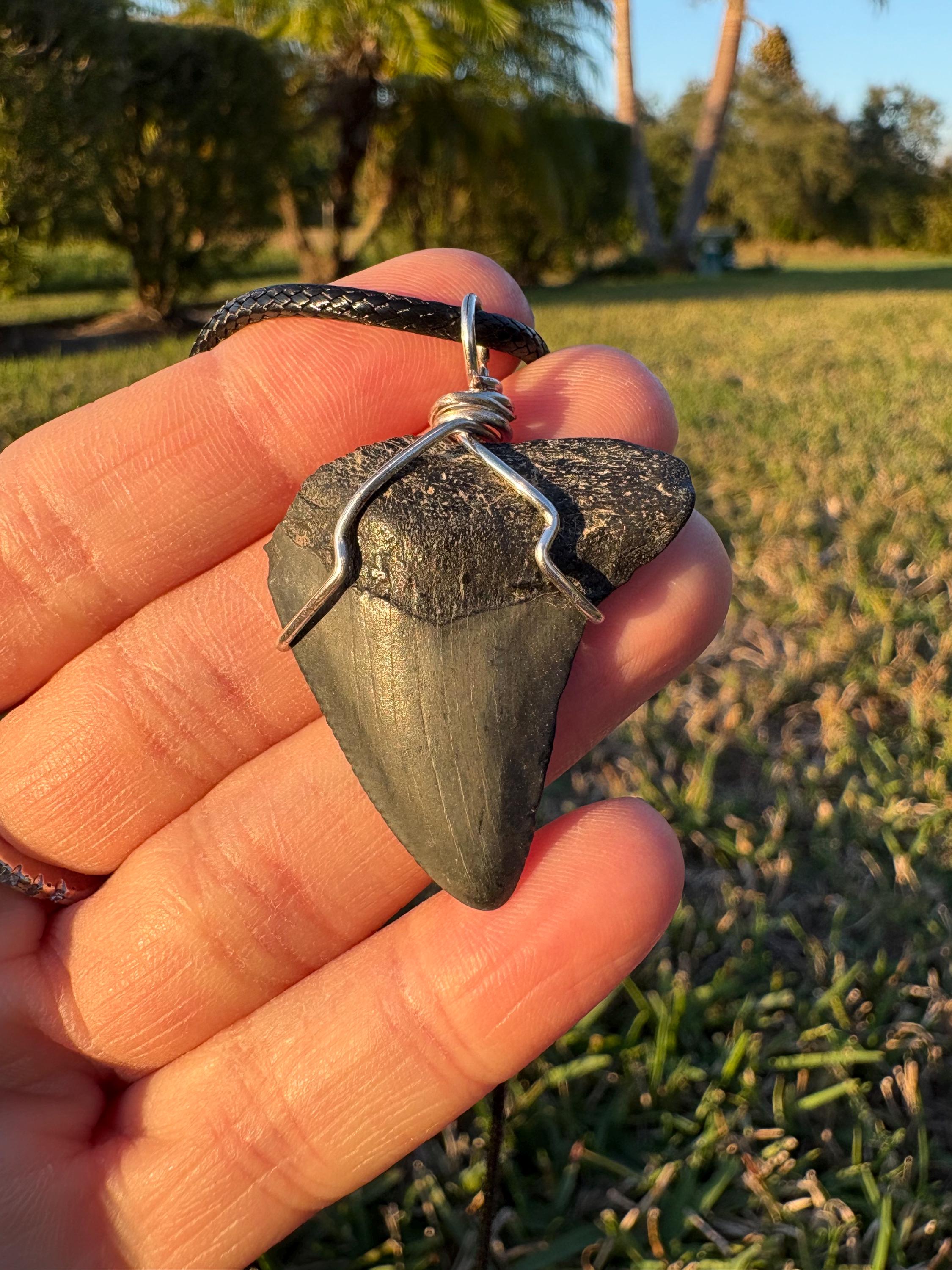 Megalodon Tooth Necklace - Florida - Etsy