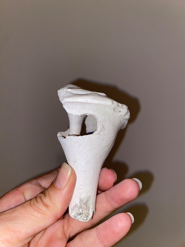 ManicBotanicArt - Etsy