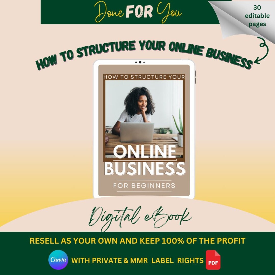 DFY How to Structure Your Online Business , Done for You, for Beginners, Startup, PLR, MRR ...