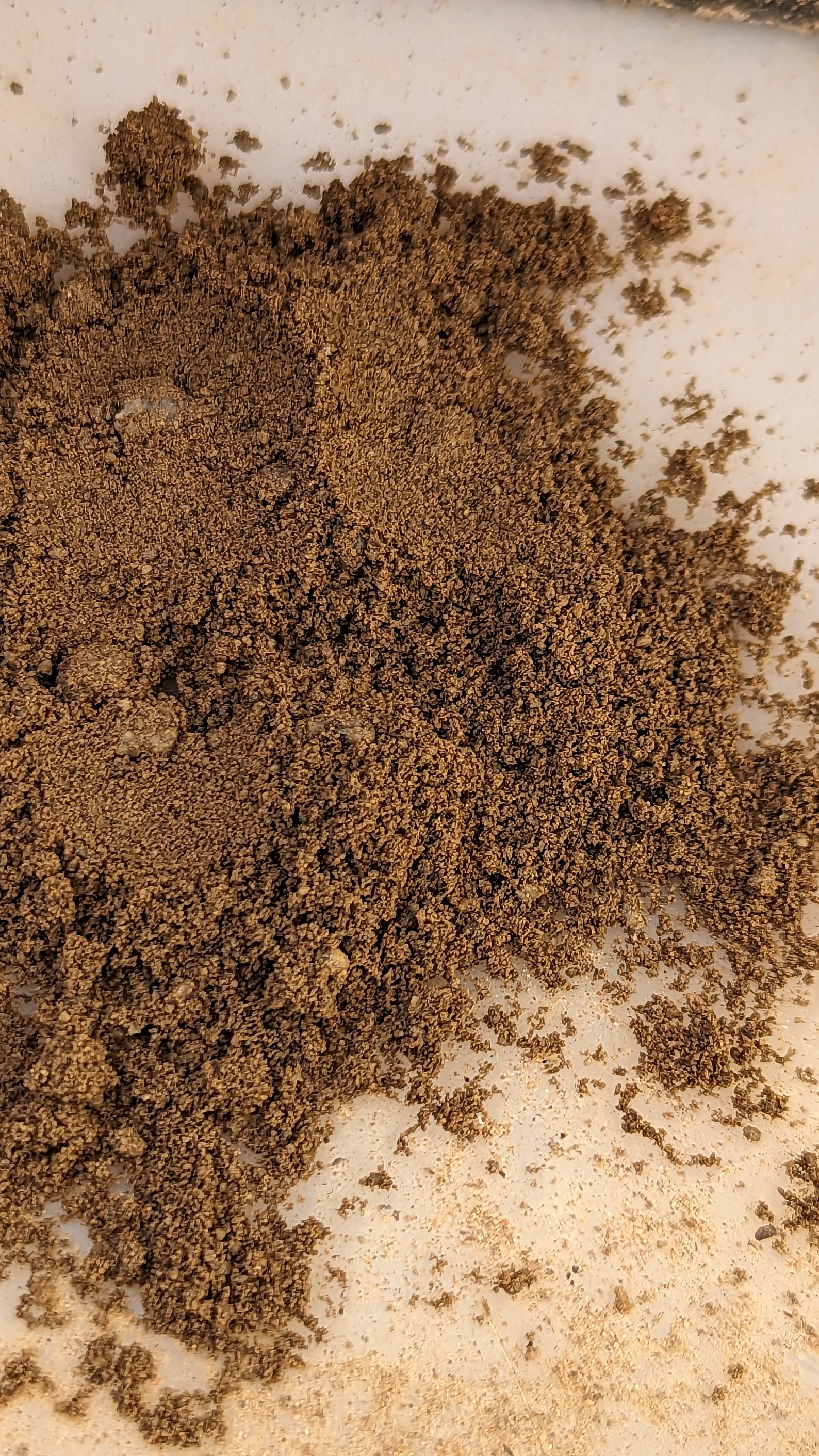 Sandy Top Soil (10lbs): Screened, Smooth Texture - Etsy