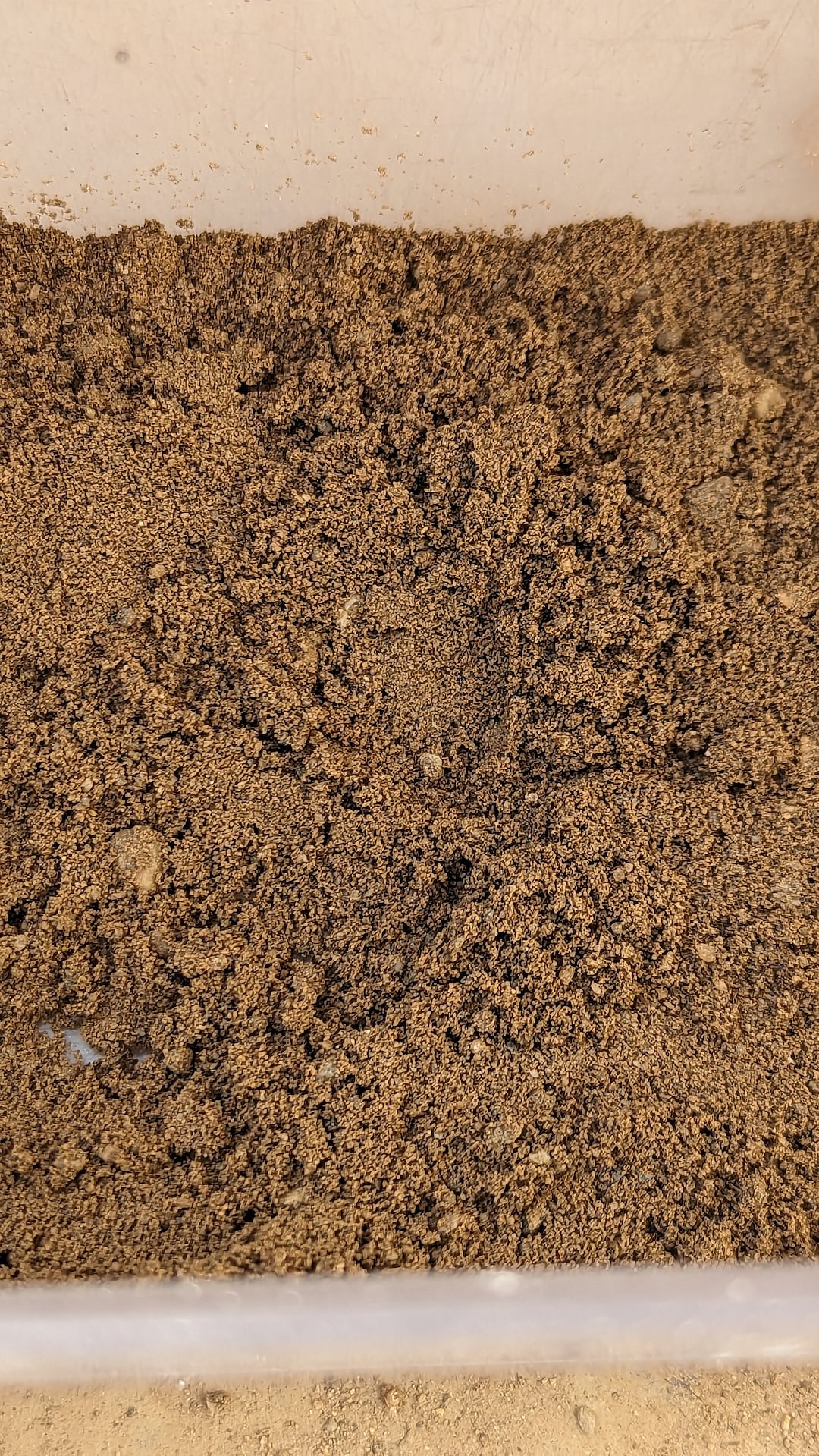 Sandy Top Soil (10lbs): Screened, Smooth Texture - Etsy