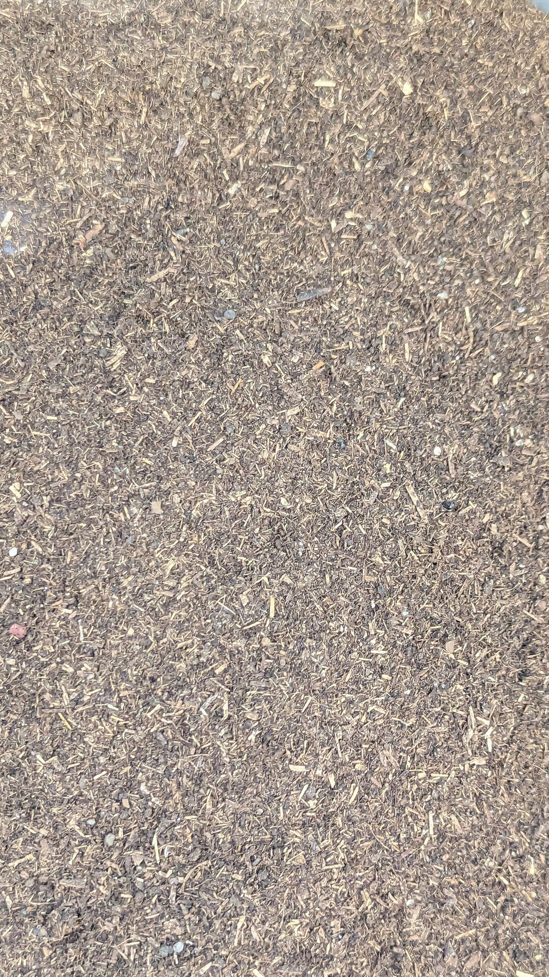 Organic Cow Manure (screened)(15lbs)(buy 1 Get 1) {chicken Manure, Dry ...