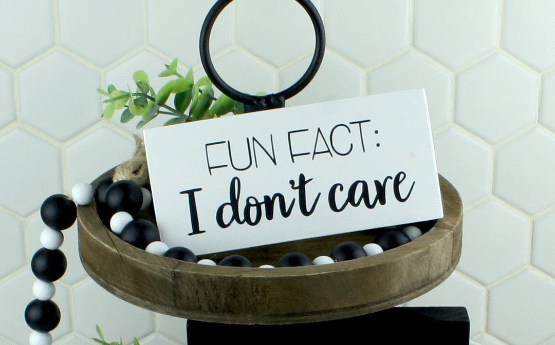 Handcrafted Funny Sign "fun Fact: I Don't Care" Sarcastic Sign Funny ...