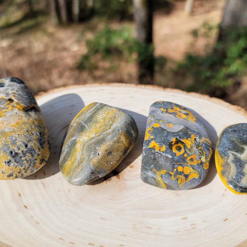 Bumble Bee Jasper - Etsy