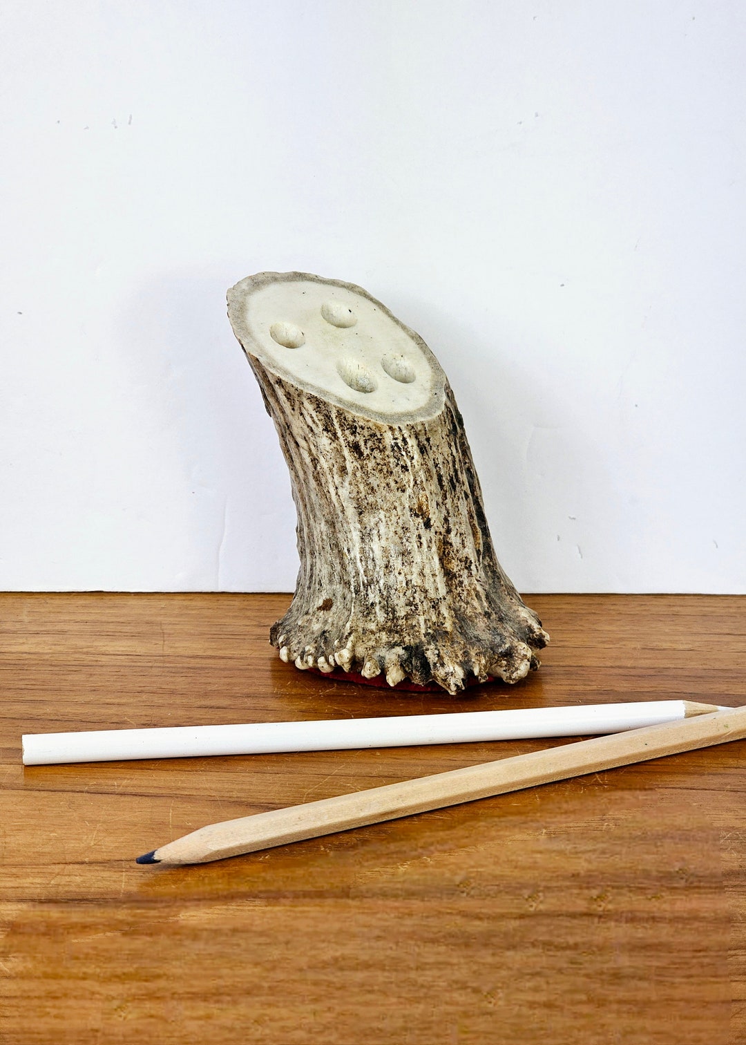 Antler Horn Fragment Pencil Pen Holder Office Desk Decor Sculpture ...