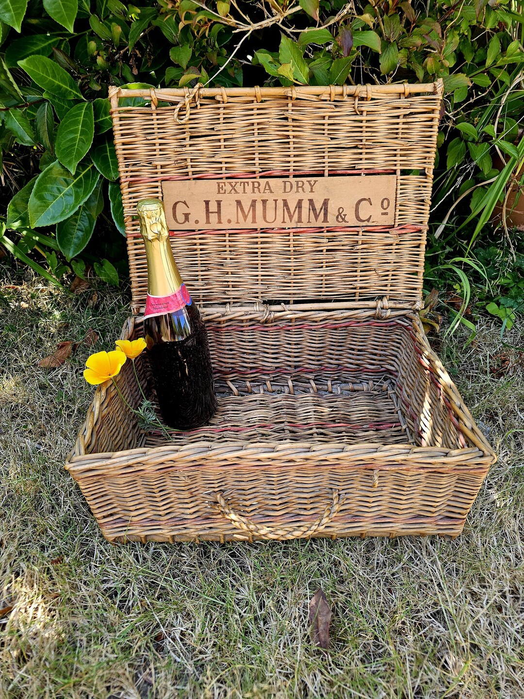 G. H. Mumm & Co Champagne Presentation Wicker Basket Vintage Antique ...