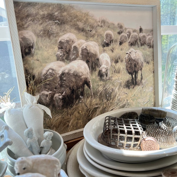 Sheep Picture - Etsy