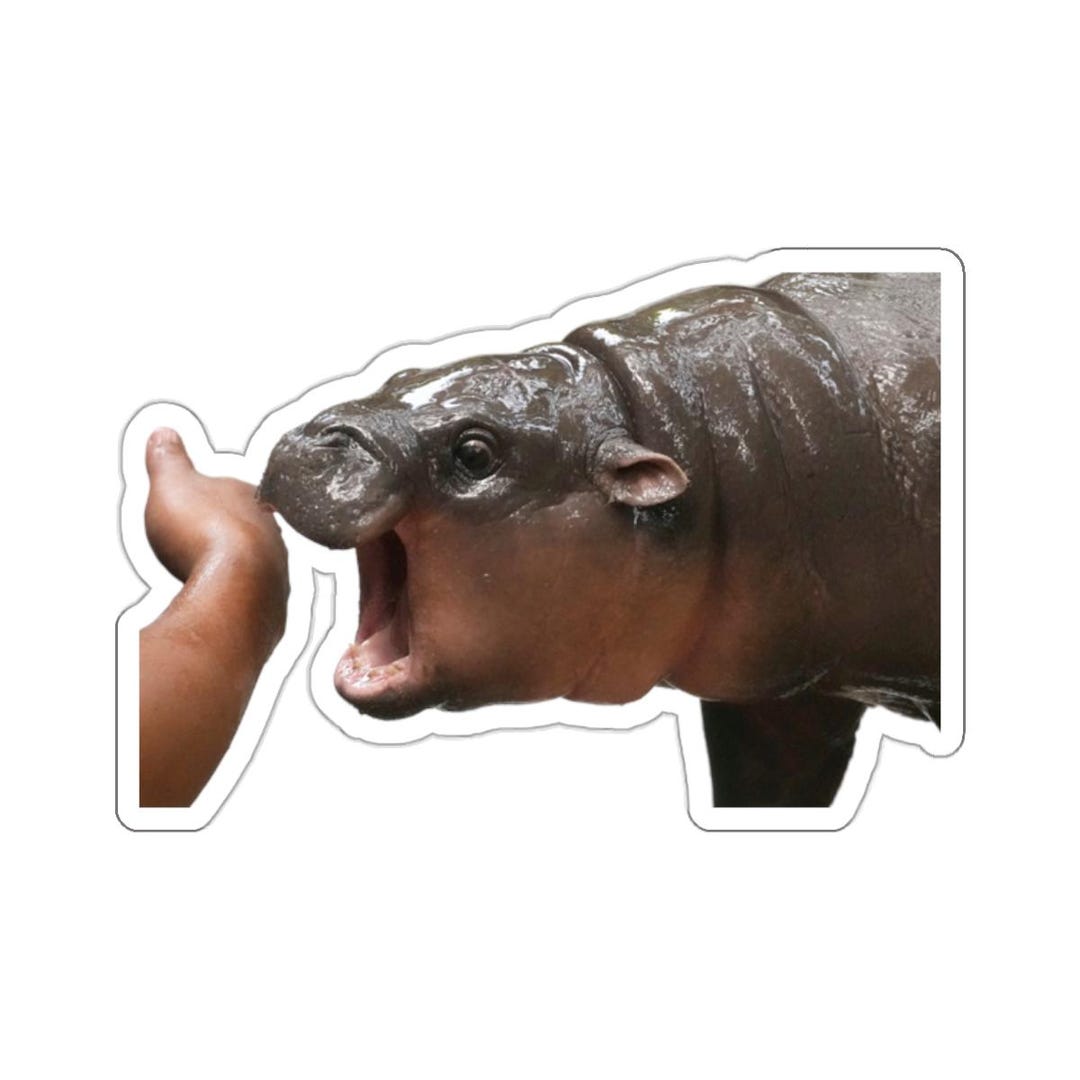 Baby Pygmy Hippo Pop Culture Kiss-cut Sticker, Cute Animal Laptop Decal ...
