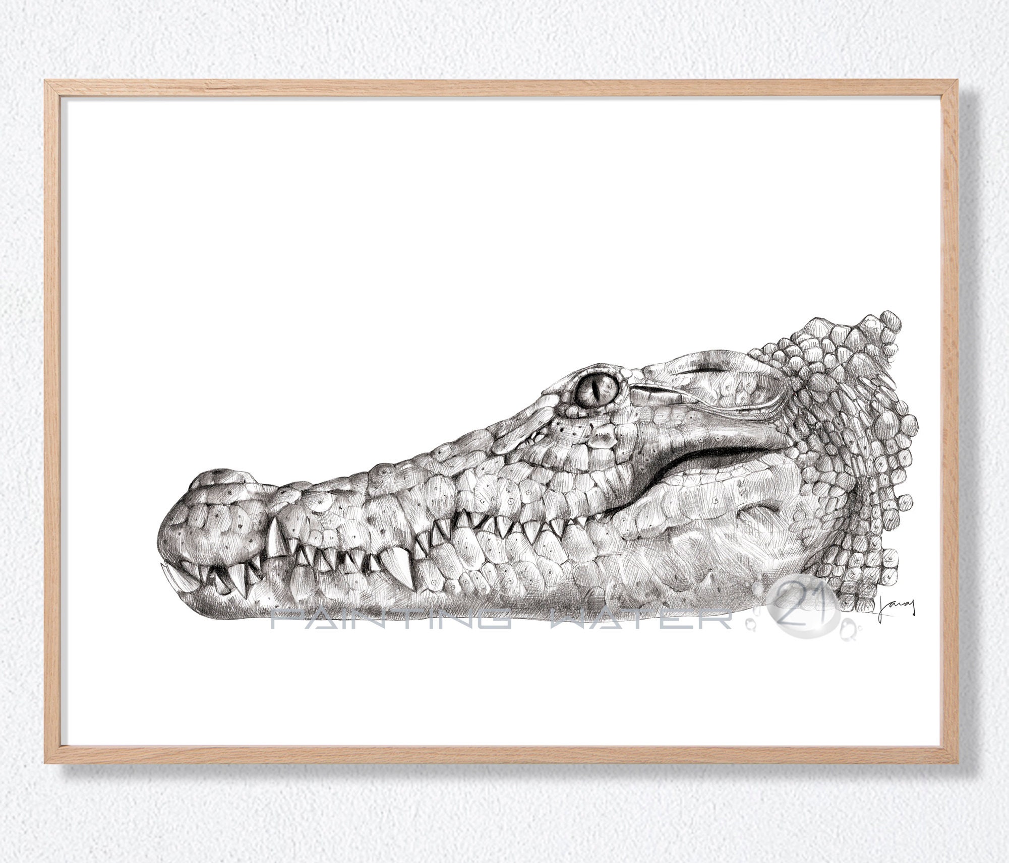 Crocodile Black And White Drawing