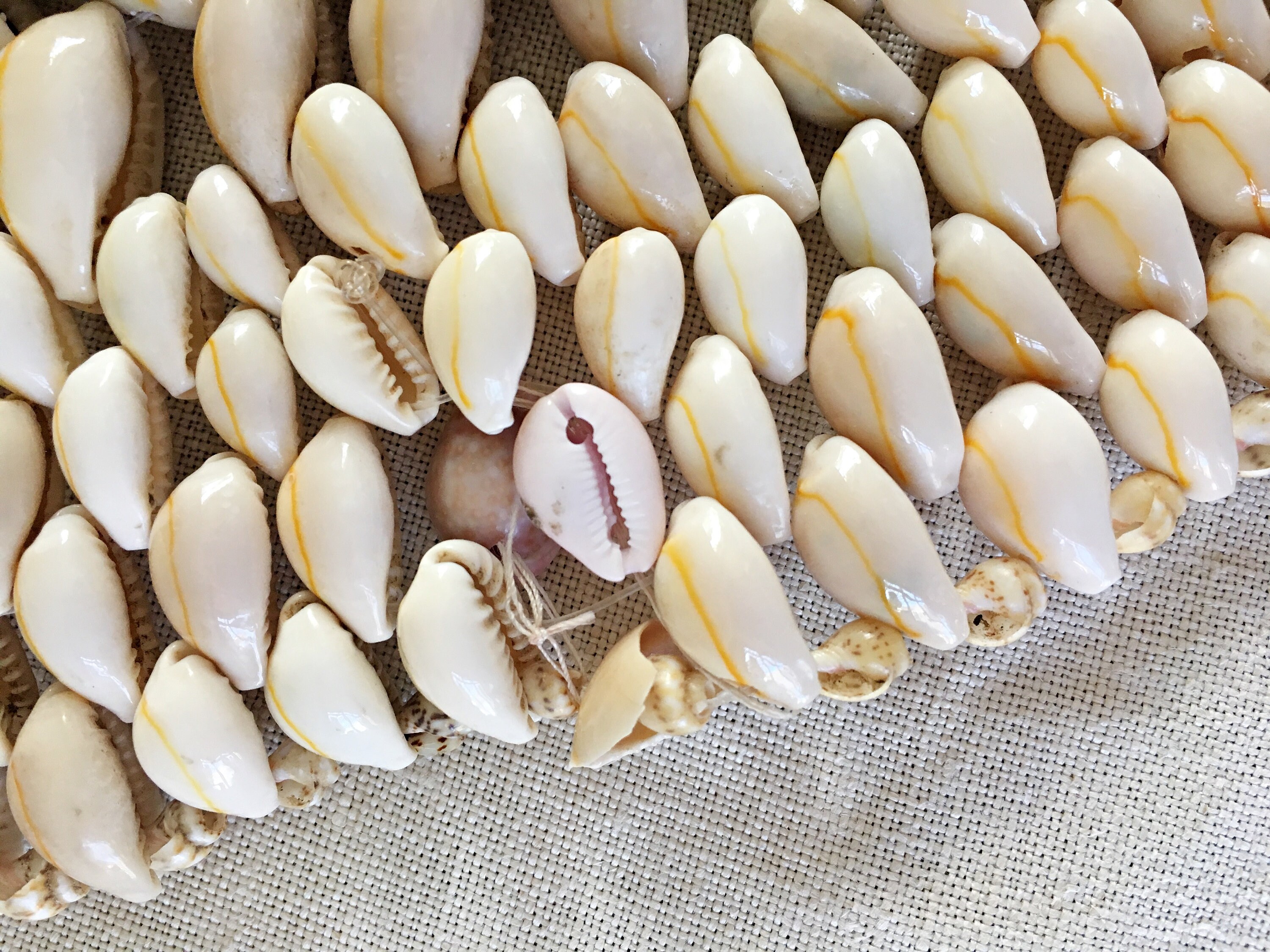Large Cowrie Shell Placemat Sold Individually Boho Eclectic | Etsy