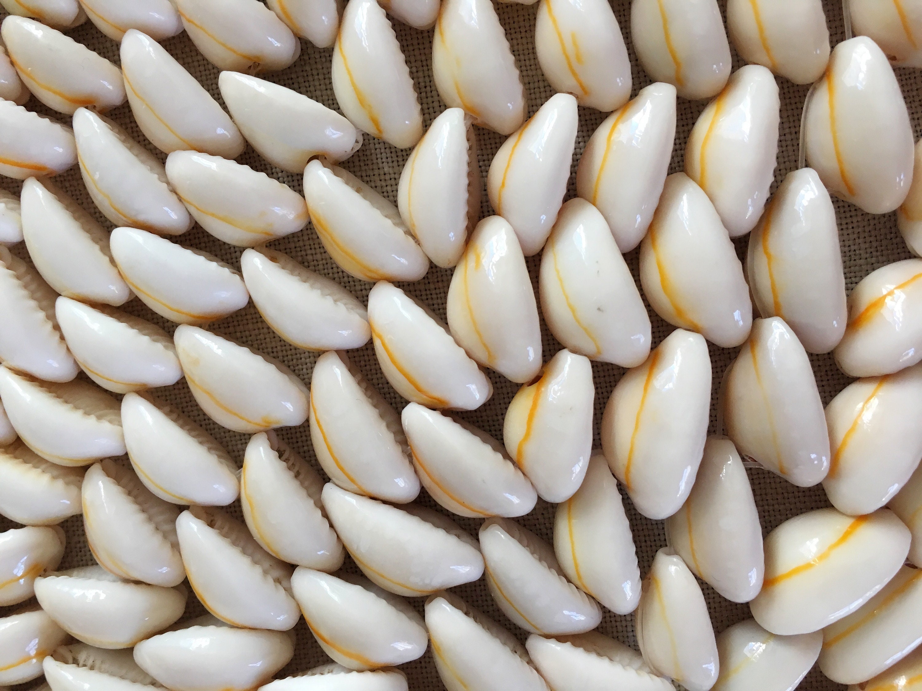 Large Cowrie Shell Placemat Sold Individually Boho Eclectic - Etsy