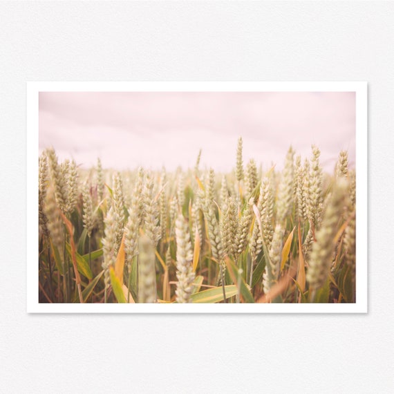 Wheat Field Print Wheat Print Whimsical Print Digital | Etsy