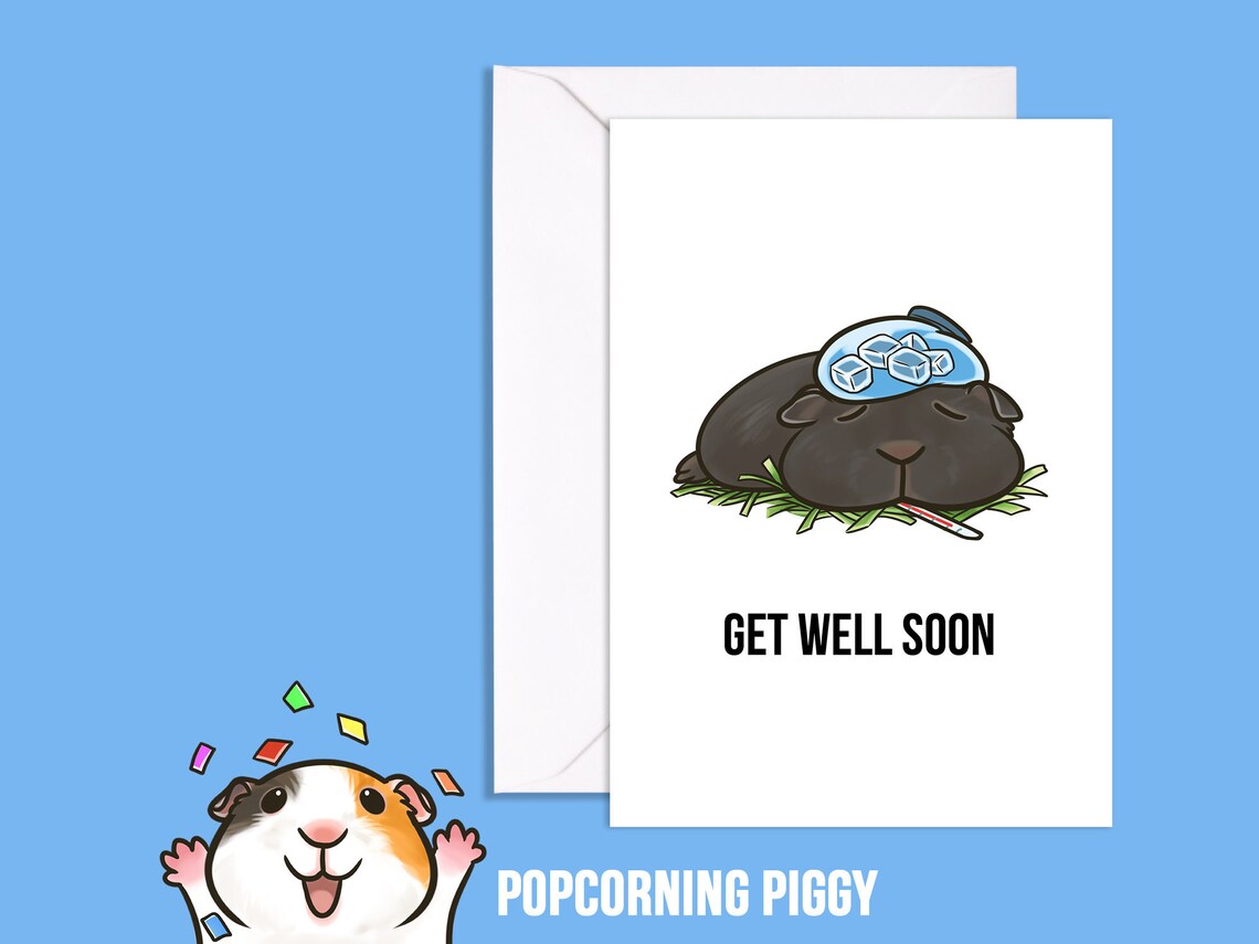 Get Well Card Guinea Pig Feel Better Soon A6 Card & - Etsy UK