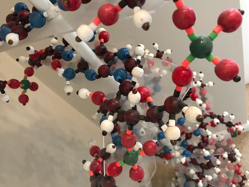 Teaching DNA Model, 6 Feet Tall 1 M 83 Cm for Classroom, Medical Office ...