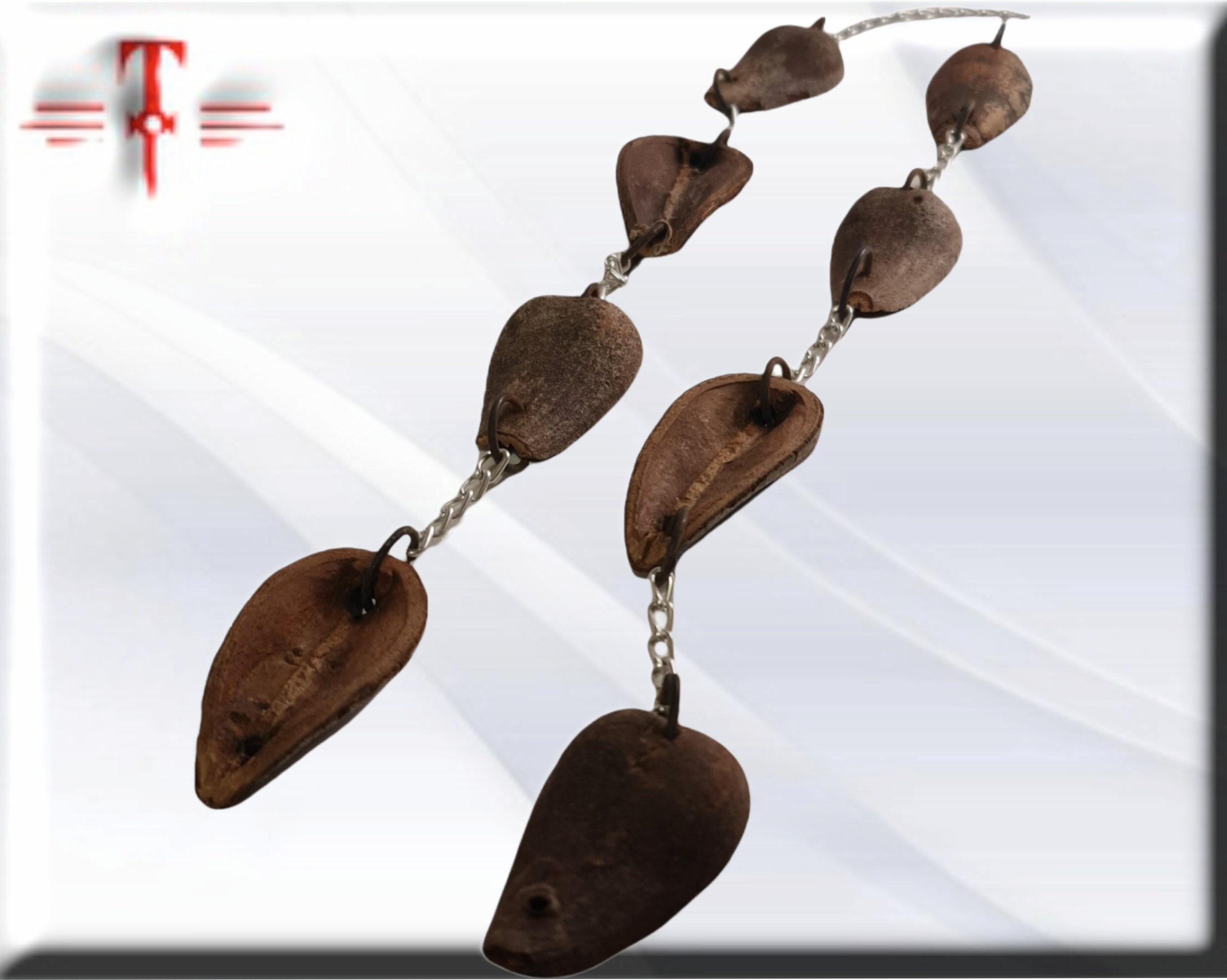 Ekuele africano semilla de Ifáopele egbere. santería - Etsy México