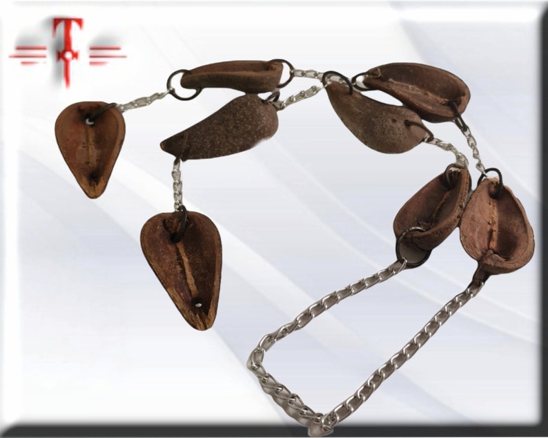 Ekuele africano semilla de Ifáopele egbere. santería - Etsy México