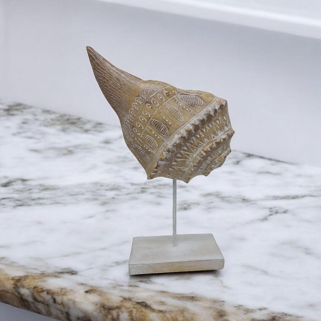 Carved Seashell Mystical Home Decor - Etsy