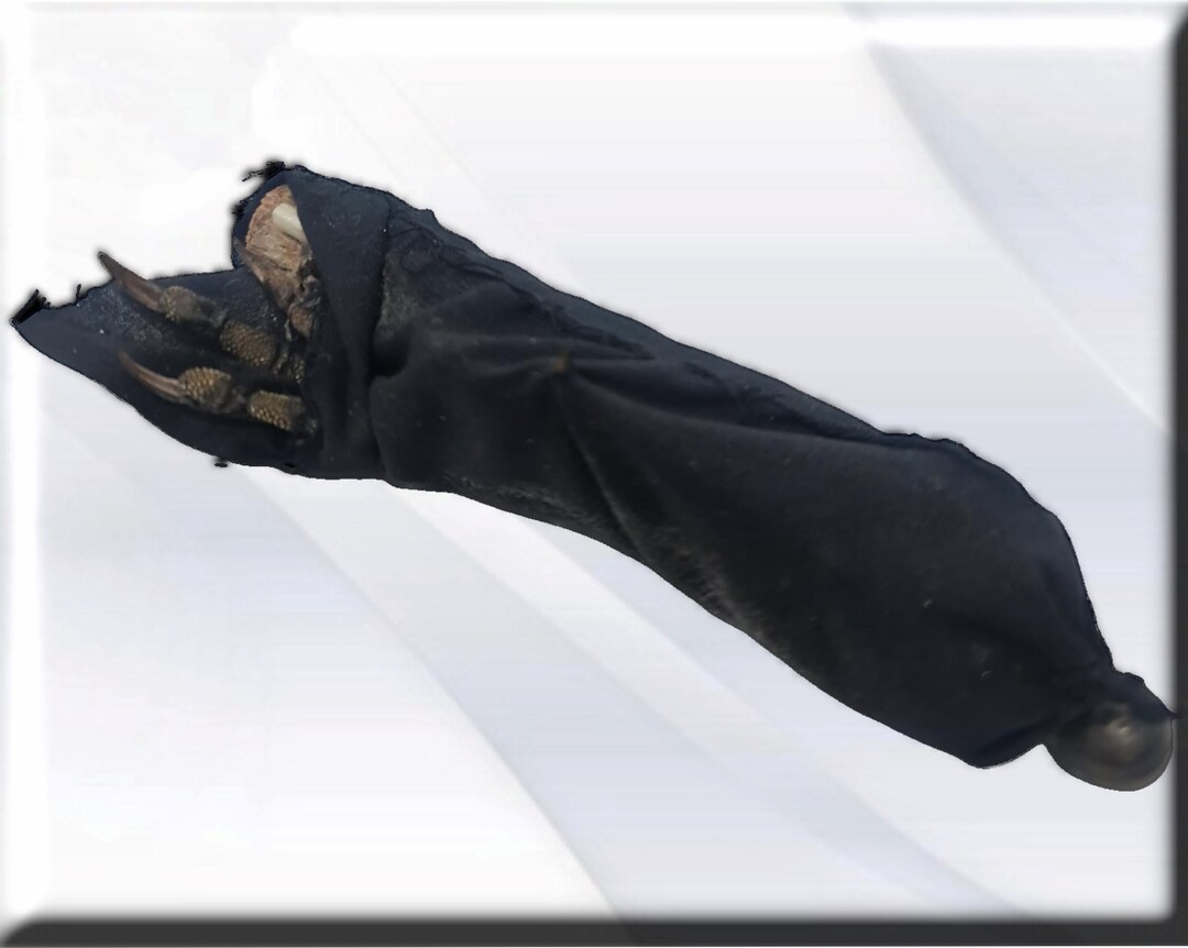 African Protection Against Black Magic, Secrets of African Vodun - Etsy