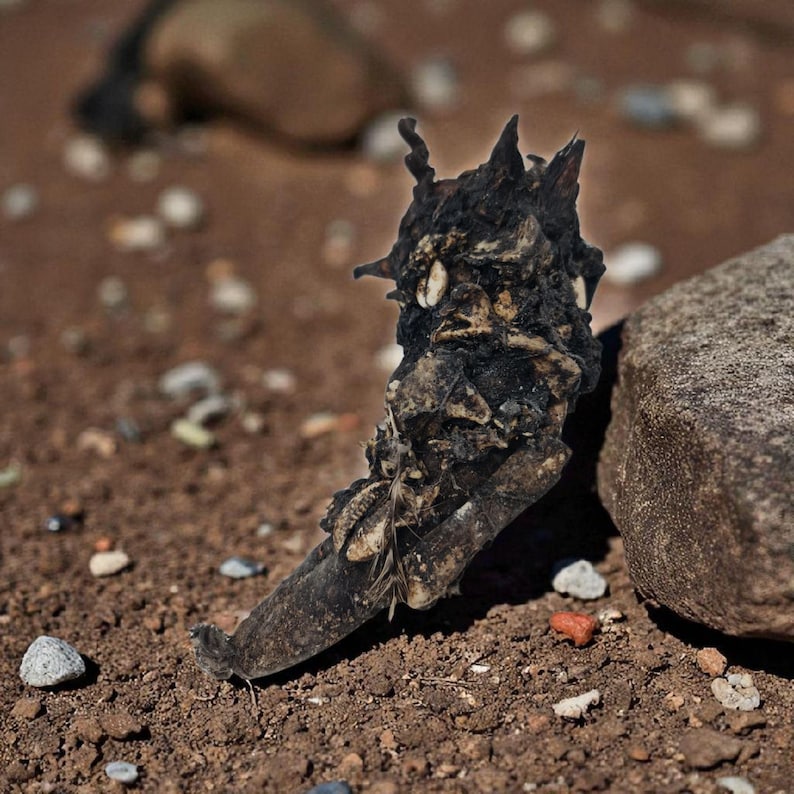 Olugbohun Snake, African Amulet, Secrets of Vodun - Etsy