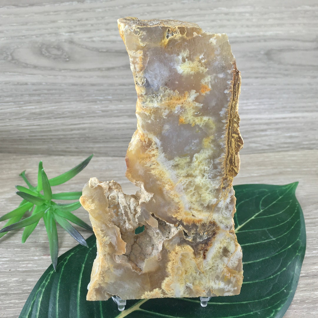 5" Graveyard Point Plume Agate - Natural, Rough Edge, Lapidary Slab ...