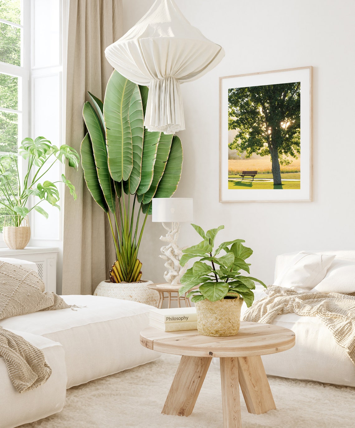 Nature Photograph trees Printable Art Peaceful Summer Morning - Etsy