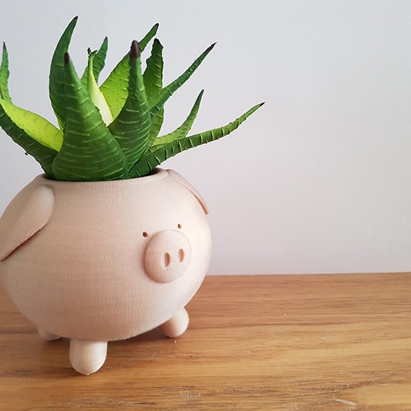 Pig Planter - Etsy
