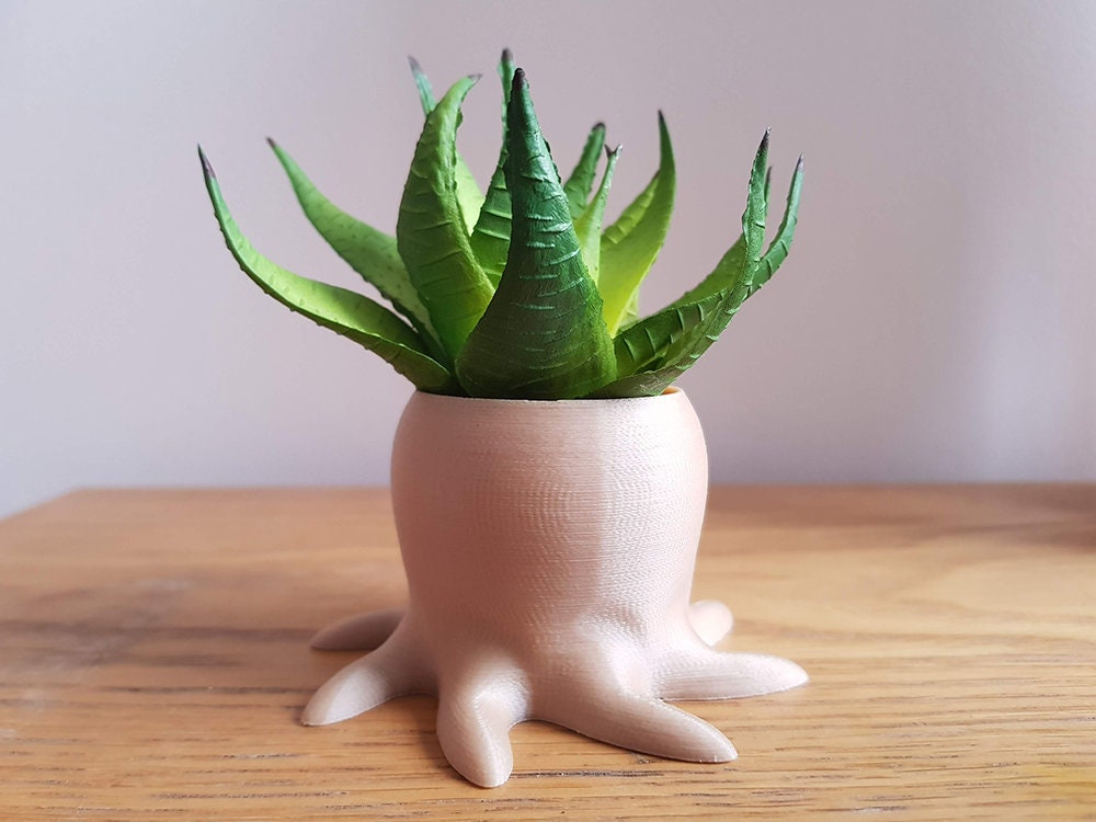 Octopus Planter for Succulents & Cacti - Etsy