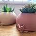 Reading Pot | Book Pot | Cute Plant Pot | Plant Pot | Sitting Planter ...