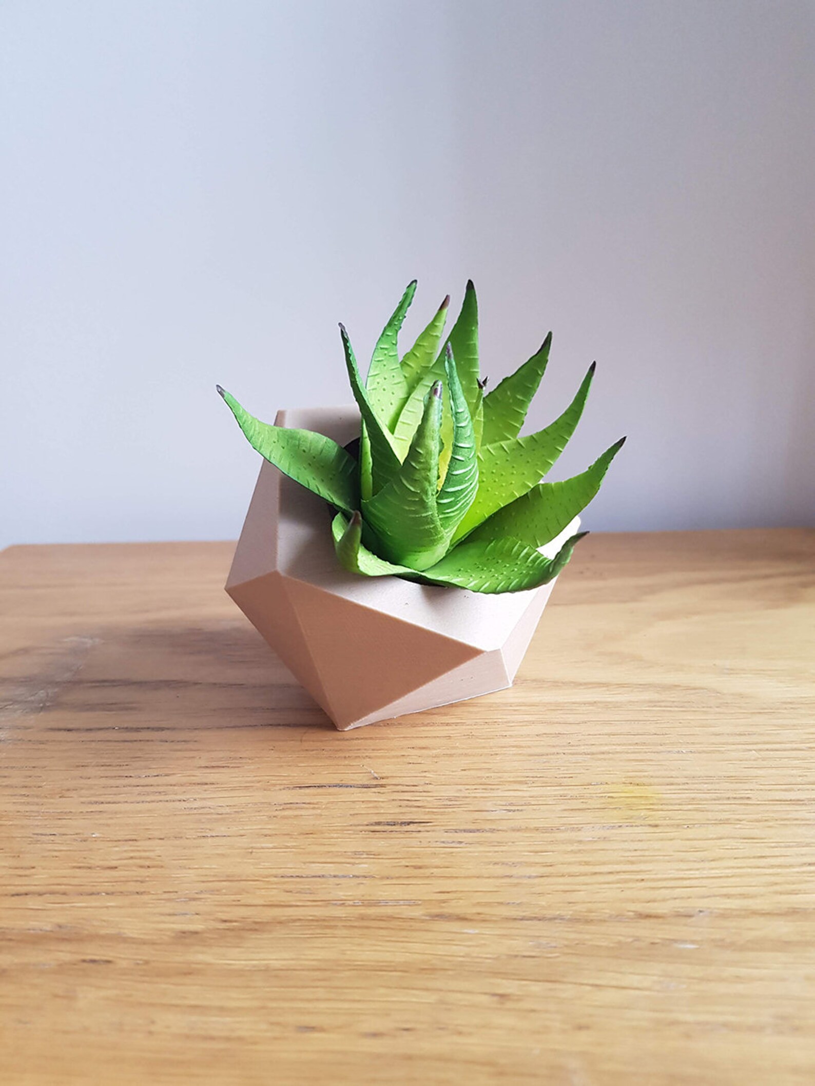 Geometric Shape Planter Minimalist Planter Succulent - Etsy