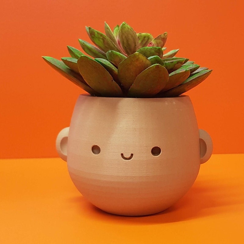 Face Pot - Etsy