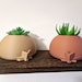Reading Pot | Book Pot | Cute Plant Pot | Plant Pot | Sitting Planter ...