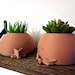 Reading Pot | Book Pot | Cute Plant Pot | Plant Pot | Sitting Planter ...