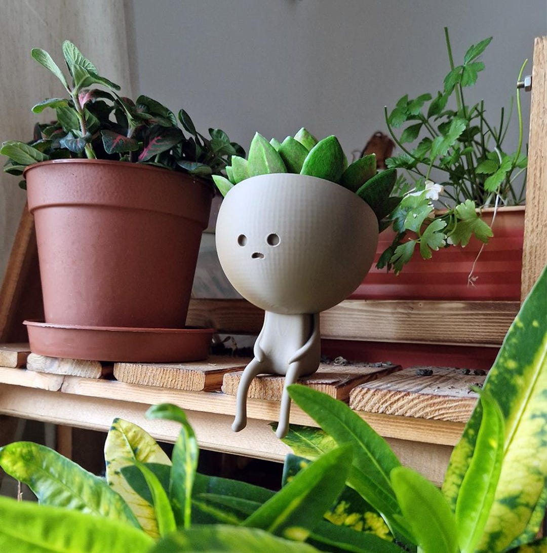 Worry Buddy Succulent Planter | Small Sitting Plant Pot - Etsy Canada