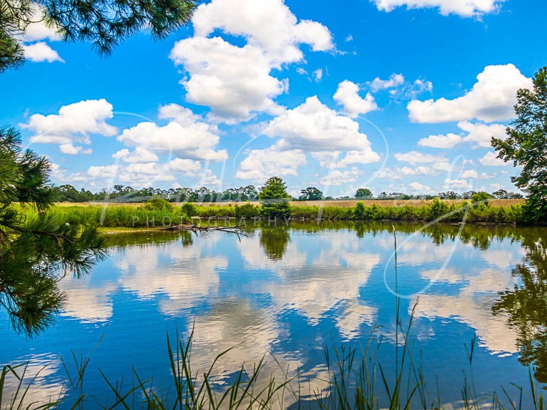 Reflection Pond Photography Print - Etsy