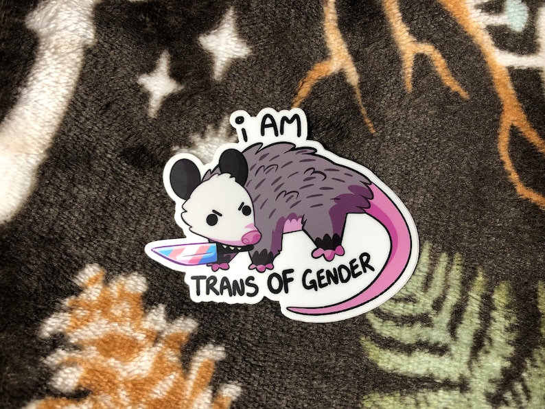 Trans of Gender Sticker - Etsy
