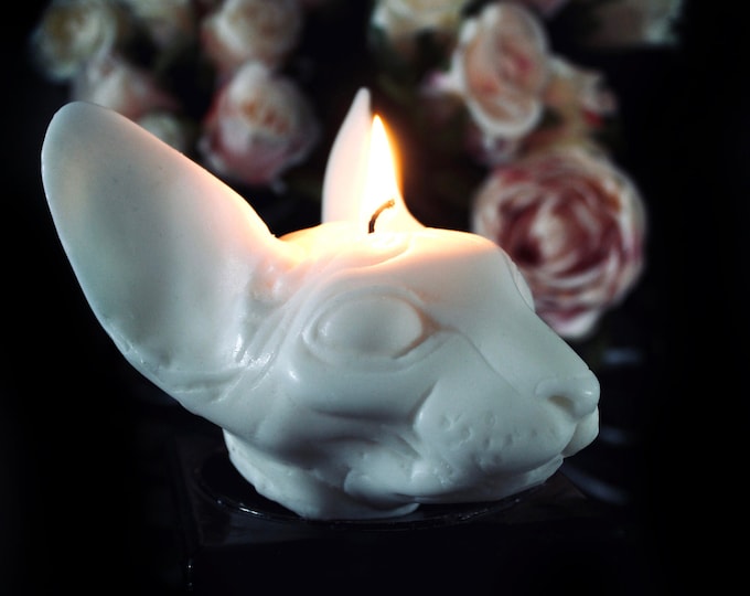 Blood Red Heart Candle Anatomical Heart Unique Candle - Etsy