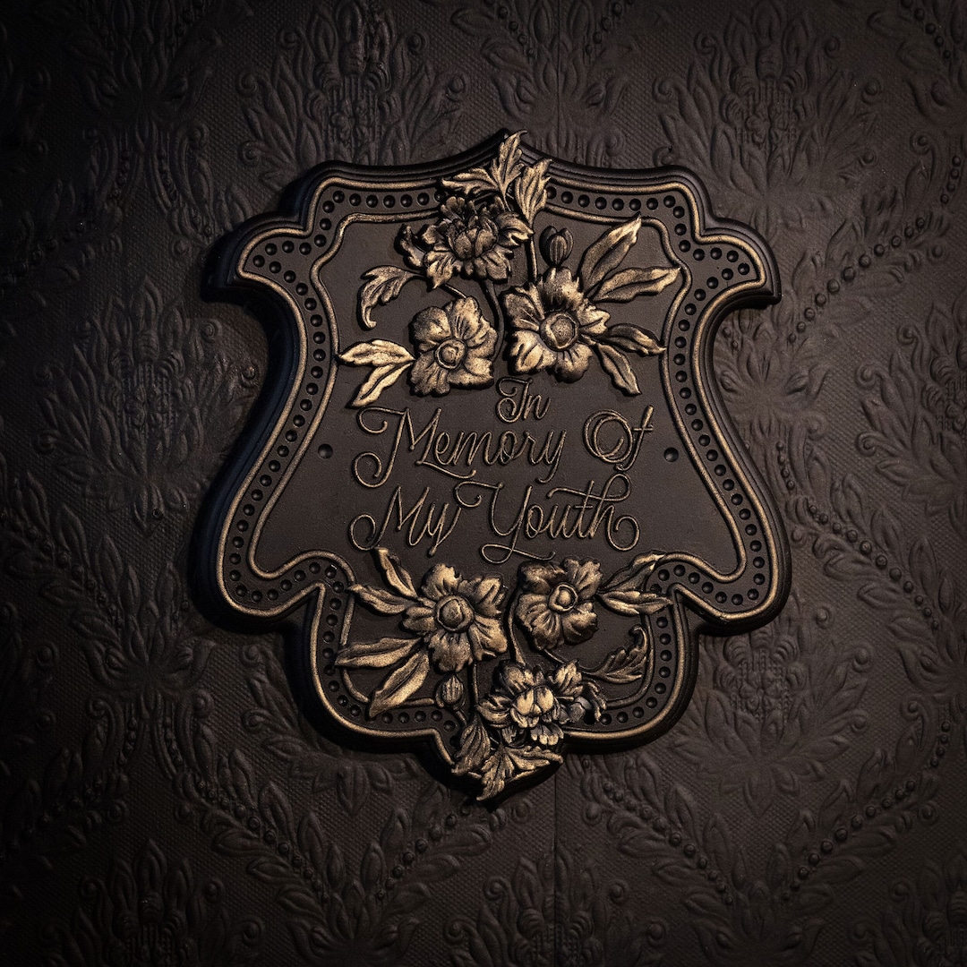 In Memory of My Youth Plaque | Gothic Wall Plaque | Gothic Home Decor ...