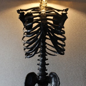 Skeleton Floor Lamp Gothic Home Decor Handmade by the - Etsy