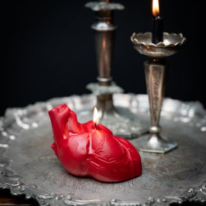 Blood Red Heart Candle - Anatomical Heart Unique Candle | Gothic Gift ...
