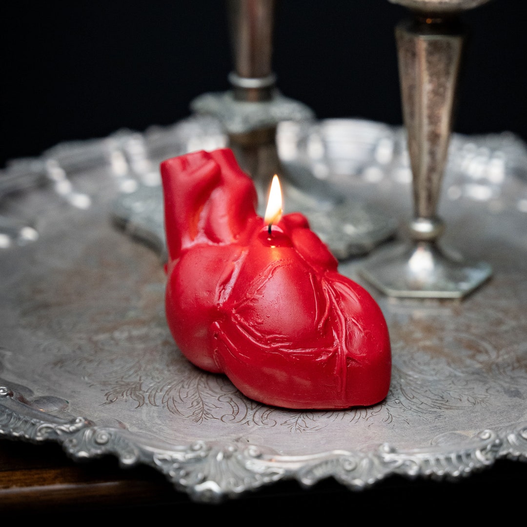 Blood Red Heart Candle - Anatomical Heart Unique Candle | Gothic Gift ...