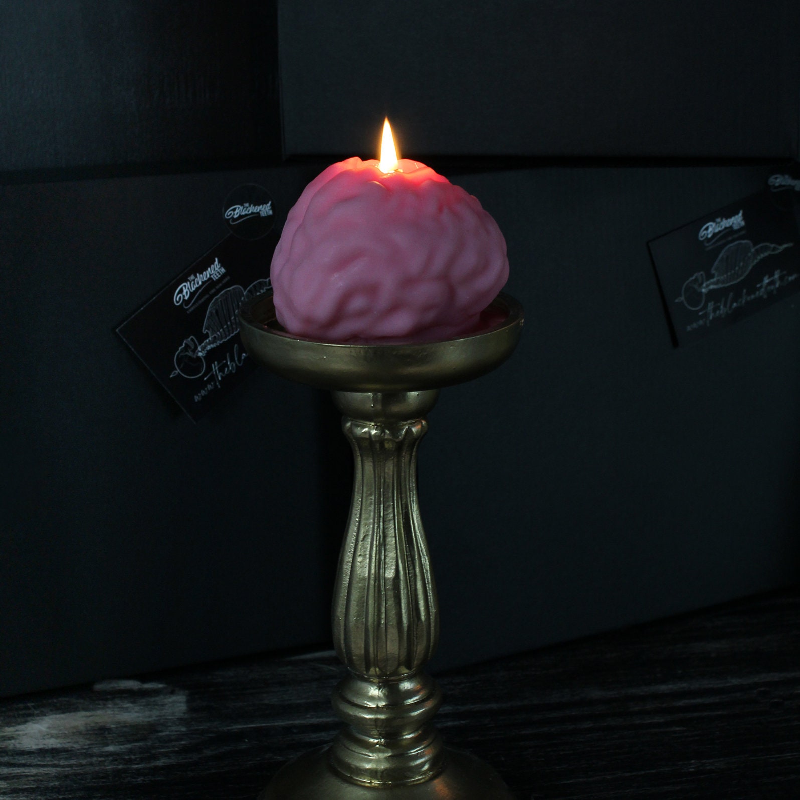 Anatomy Candles Gift Box Gothic Vegan Candles by the - Etsy