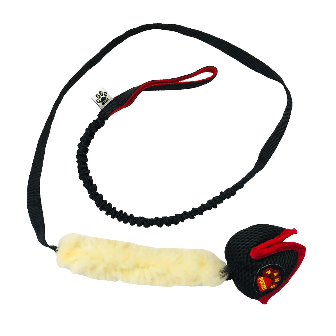 Paws Made ™ Paws Pocket™ the Ultimate Version! -petal Ball Extra Long ...